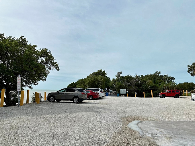 The humble parking lot&mdash;where adventures begin and air-conditioned cars turn into mobile saunas waiting for your return.