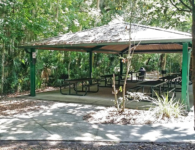 Covered dining with a view that beats any restaurant's outdoor seating arrangement.