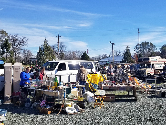 The flea market brings together treasures and stories that no algorithm could ever properly recommend or replace.