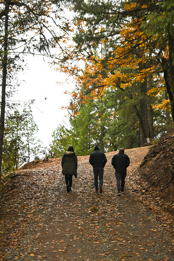 Fall hiking trails in Weaverville offer that perfect crunch of leaves underfoot&mdash;nature's way of applauding your outdoor ambition.
