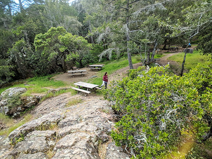 Picnic tables scattered among the rocks and trees&mdash;because sandwiches always taste better when eaten at 1,500 feet above sea level.