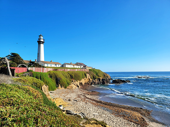 Pigeon Point Lighthouse stands sentinel over rocky shores, a maritime landmark that's been Instagram-worthy since the 1870s.