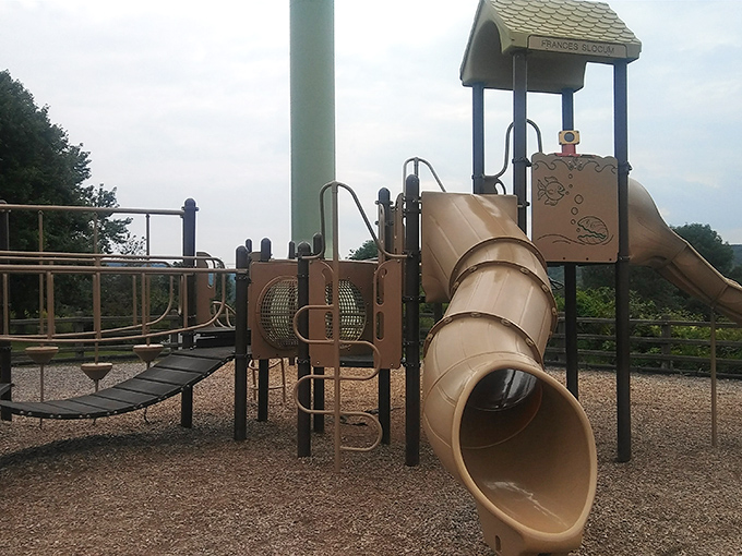 Childhood joy comes standard with this playground equipment. The slide promises the same stomach-dropping thrill it delivered to generations before smartphones existed.