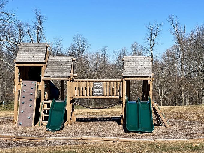 Childhood joy meets forest playground. Even the slides seem more exciting when surrounded by Pennsylvania's natural splendor.