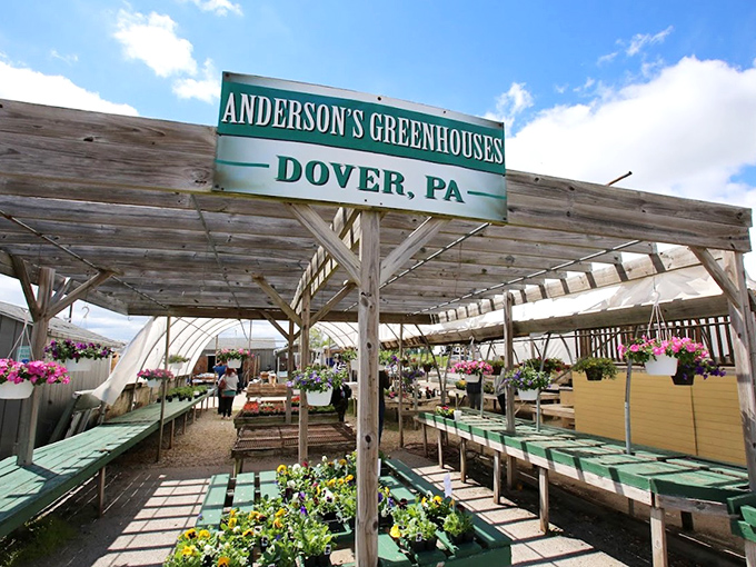 Anderson's Greenhouses brings the promise of spring year-round. Even those with notorious "black thumbs" feel a surge of gardening confidence here.
