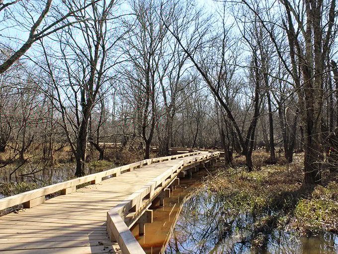 Rocky River Nature Park whispers secrets that city dwellers forgot they desperately needed to hear.