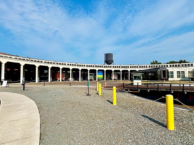 The museum's impressive roundhouse curves gracefully around its turntable, housing a rainbow of historic locomotives like books on a circular shelf.