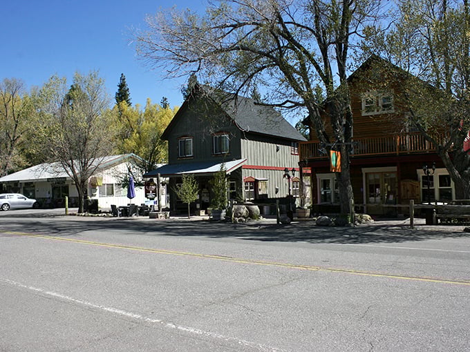 Downtown Markleeville in spring &ndash; where buildings have weathered more Sierra winters than most of us have had birthday cakes.