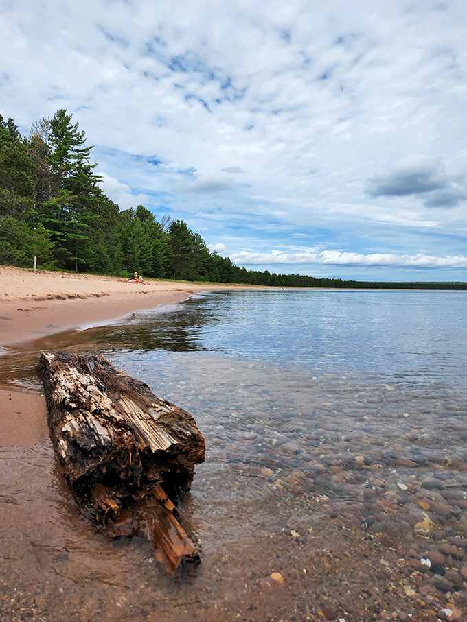 Beach treasure hunting at its finest. That weathered driftwood has traveled farther than most people do in a year, finally finding rest on Big Bay's pristine shore.