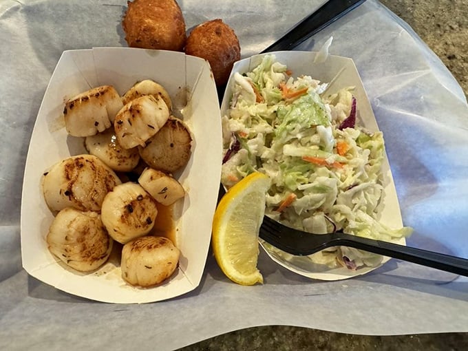 Caramelized perfection! These seared scallops alongside creamy slaw prove that sometimes the simplest preparations yield the most sublime results.