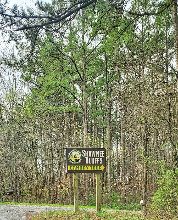 Shawnee Bluffs Canopy Tour lets you soar through treetops like Tarzan, minus the loincloth and questionable yell.