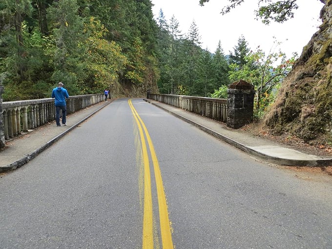 Shepperd's Dell Bridge curves gracefully through the forest, a testament to engineers who understood that function and beauty aren't mutually exclusive.