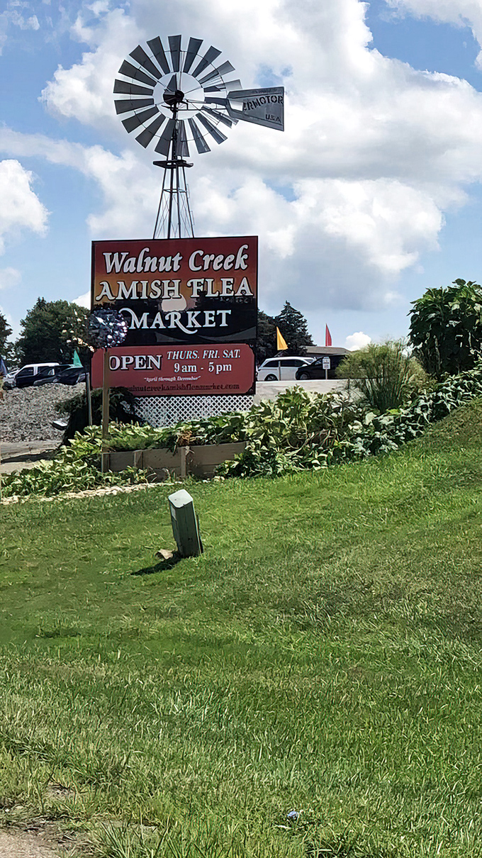 Open Thursday through Saturday, this sign promises three days of treasure hunting beneath that classic American windmill.