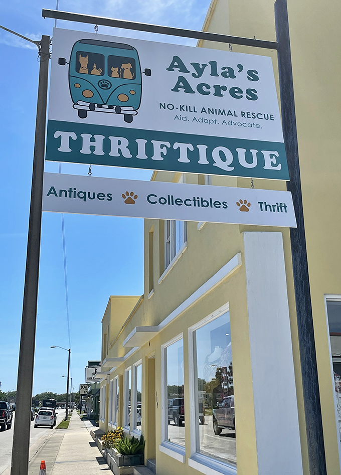 The charming VW bus logo perfectly captures the spirit of this place: carrying precious cargo to better destinations.