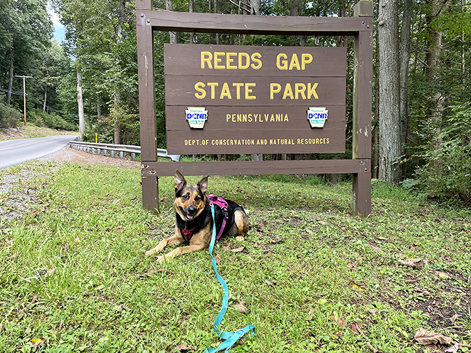The park's entrance sign, complete with canine ambassador, offers the first hint of the tail-wagging adventures that await inside.