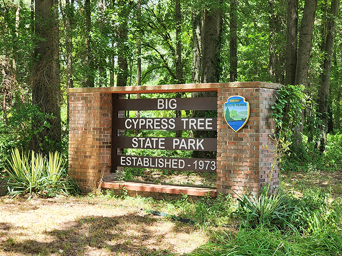 The park's entrance sign stands as a humble gatekeeper to natural wonders that don't need neon lights to announce their magnificence.