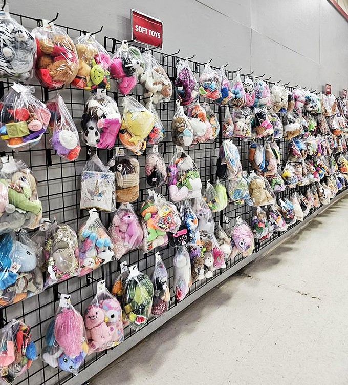 Plush paradise! These bagged buddies await adoption into loving homes. Each soft toy comes with built-in history and ready-made personality.