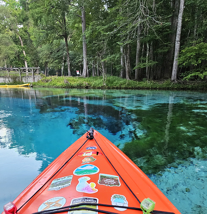 Fifty shades of blue that no paint company could ever replicate. The springs showcase nature's unmatched talent for creating the perfect swimming hole.