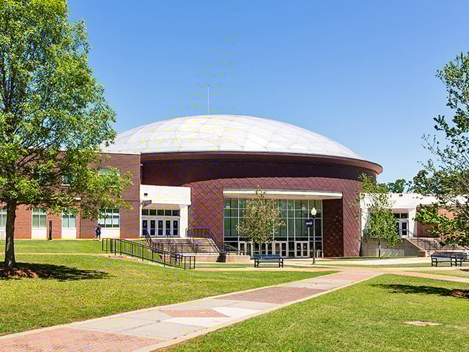 The Storm Dome's distinctive silhouette houses GSW's athletic ambitions. Its modern design stands out like a spaceship that landed among the Georgian pines.