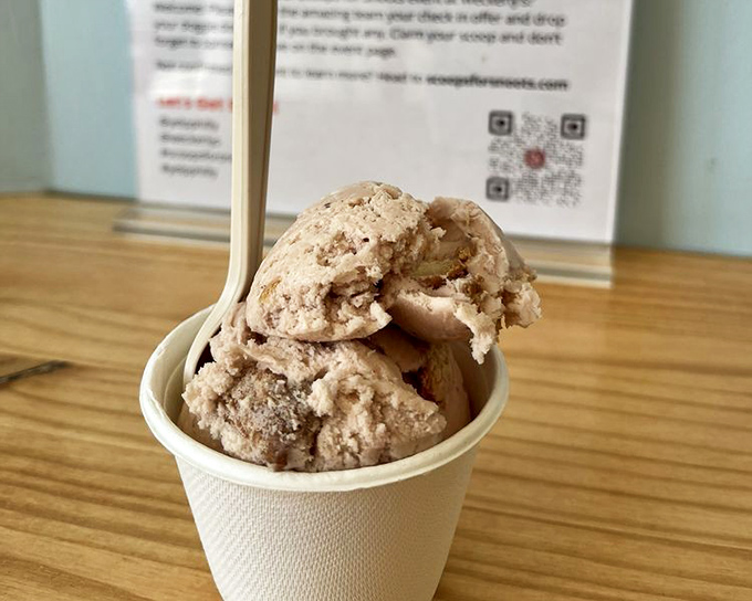 A scoop that demands contemplation. This isn't just dessert&mdash;it's a moment of pure joy captured in a biodegradable cup.