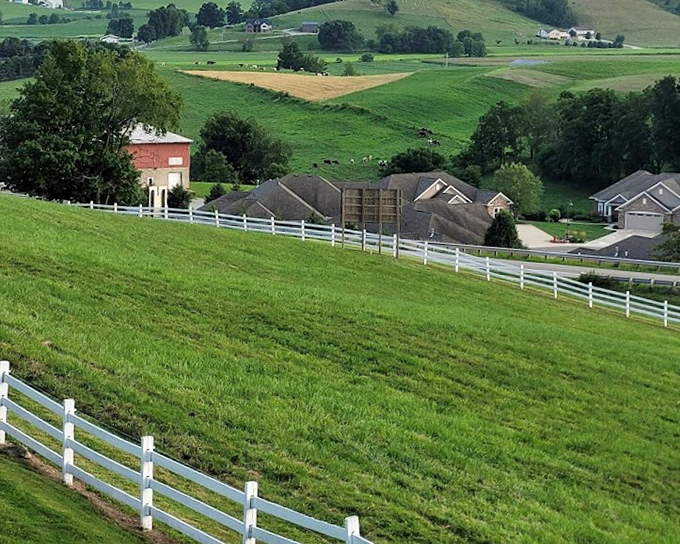 White picket fences frame rolling hills beyond, creating the kind of view that makes city dwellers question their life choices.