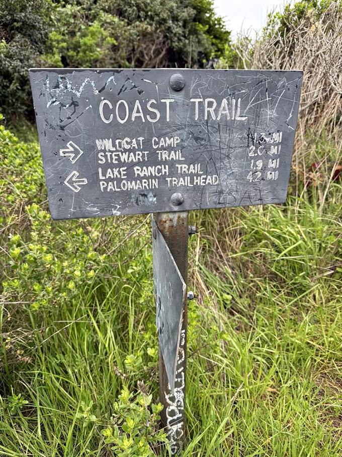 Trail signs: nature's version of GPS, except these don't recalculate when you decide to take "just one more photo."