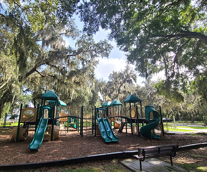 Trimble Park showcases the "real Florida" that existed before concrete and cartoon characters. Those reeds whisper secrets of old Florida.