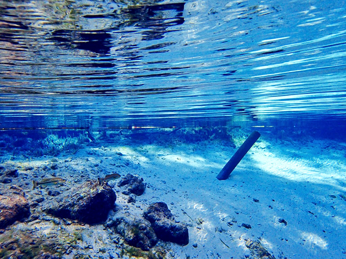 Underwater real estate with million-dollar views &ndash; no wonder fish consider this prime property in the spring-fed neighborhood.