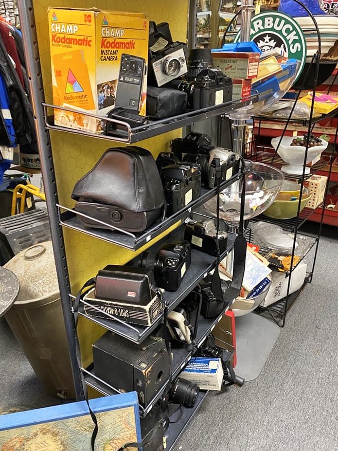 These vintage cameras captured countless family memories before smartphones changed photography forever completely.