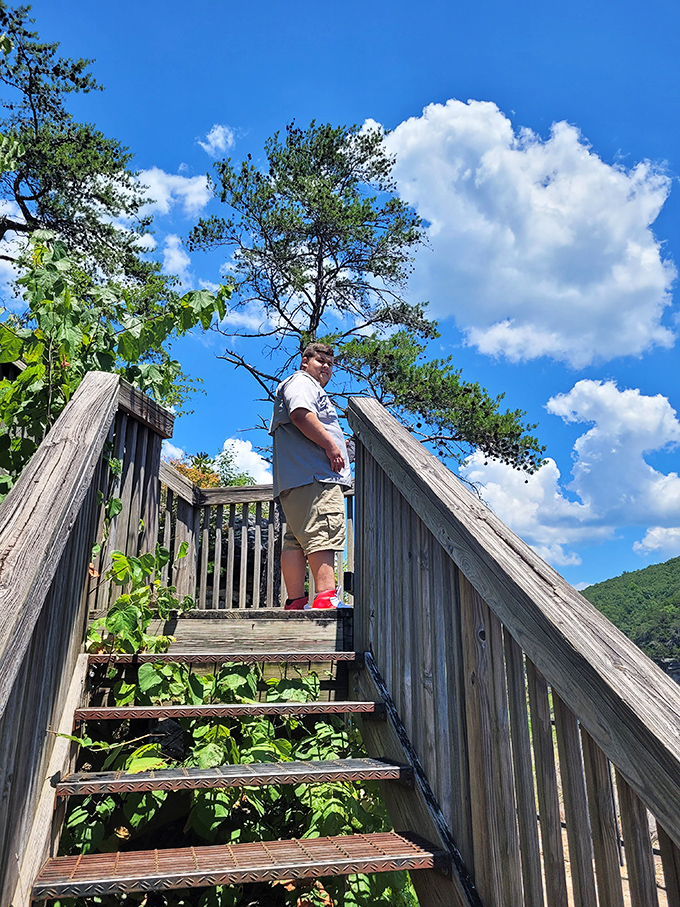 Every great view comes with a staircase tax. The higher the steps, the sweeter the vista—and the louder your knees' complaints.