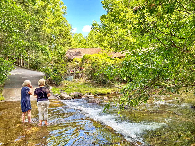 Two explorers discovering that sometimes the best path is no path at all. Wading in Duke's Creek offers cooling therapy for tired hiking feet.