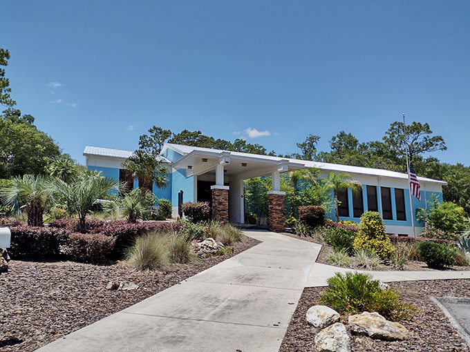 The visitor center's coastal-cool architecture says "Welcome to paradise" without a hint of tourist-trap tackiness. Florida design done right.