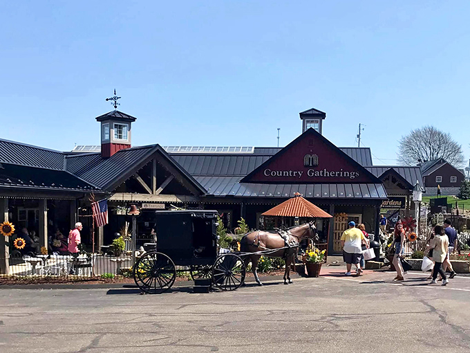 Outside Country Gatherings, the clip-clop of hooves provides the soundtrack to shopping&mdash;nature's own background music for retail therapy.