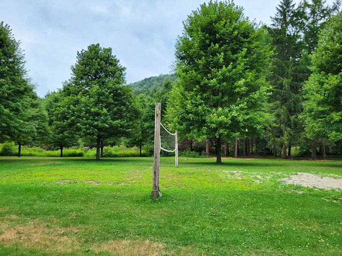The volleyball court awaits your family tournament. Victory tastes sweeter when celebrated against a backdrop of mountain vistas.
