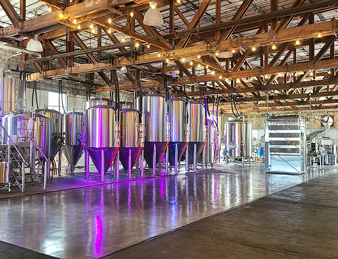 Walking Tree Brewery's gleaming tanks promise liquid happiness. This industrial-chic space transforms local water into craft beer through what I can only describe as delicious alchemy.