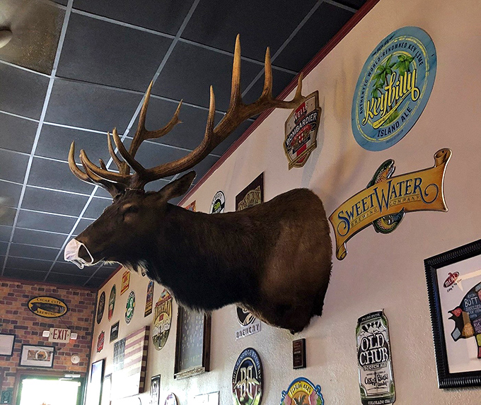 That elk head has seen more burger victories than a sports commentator at championship games.