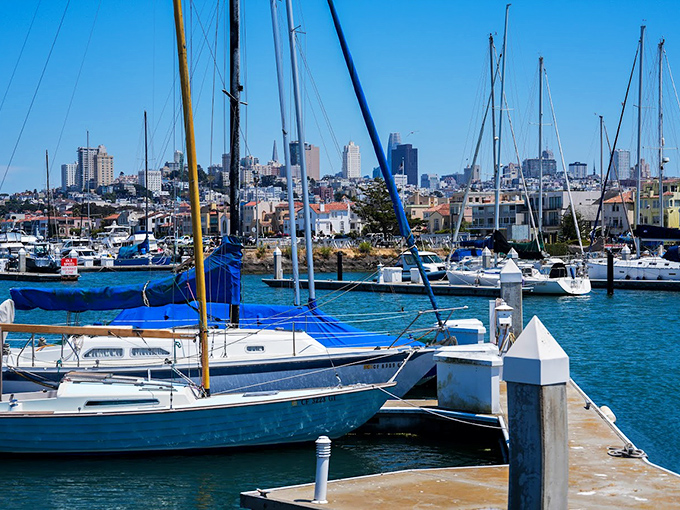 The marina provides a civilized contrast to the Wave Organ's rugged charm&mdash;yacht life meets experimental art in perfect San Francisco fashion.