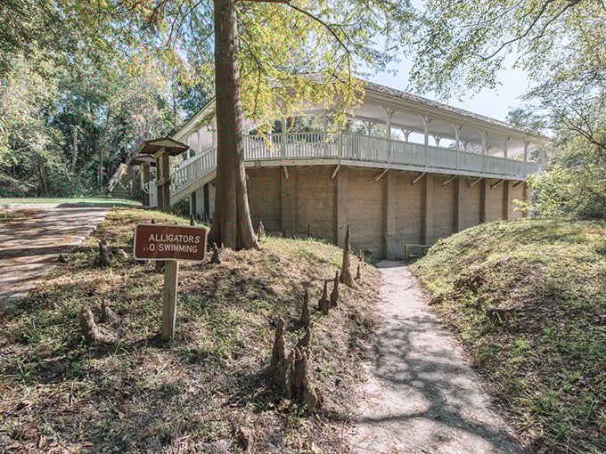 The White Sulfur Springs ruins whisper tales of elegant visitors who once flocked here for the "medicinal" waters and Southern hospitality.