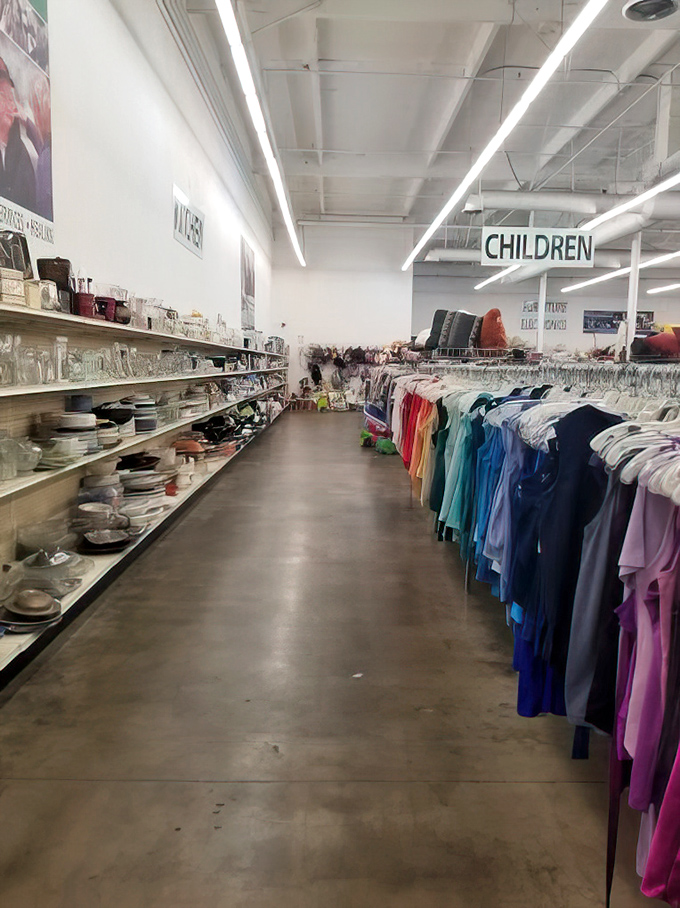 The well-organized aisles stretch like runways where everyday items model for their second chance at usefulness and appreciation.