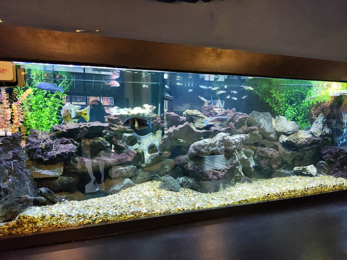 Even the fish get five-star accommodations at Luke Wholey's. This aquarium brings the ocean to Pittsburgh, one colorful fish at a time.