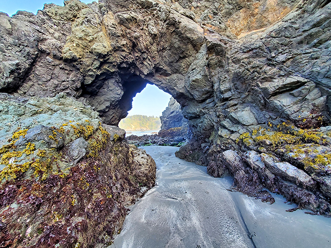 Mother Nature's perfect archway frames the Pacific like a living postcard &ndash; no filter required for this geological masterpiece.