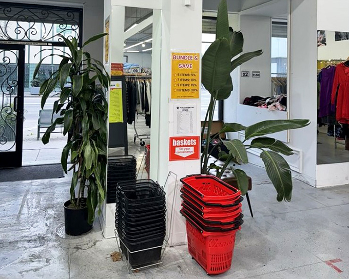 Potted plants stand guard by shopping baskets, silently judging how many items you're about to "just try on."