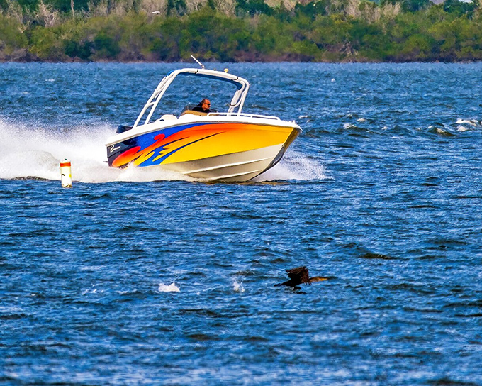 Weekend warriors and their boats dance across the lagoon, living proof that retirement is just the beginning.