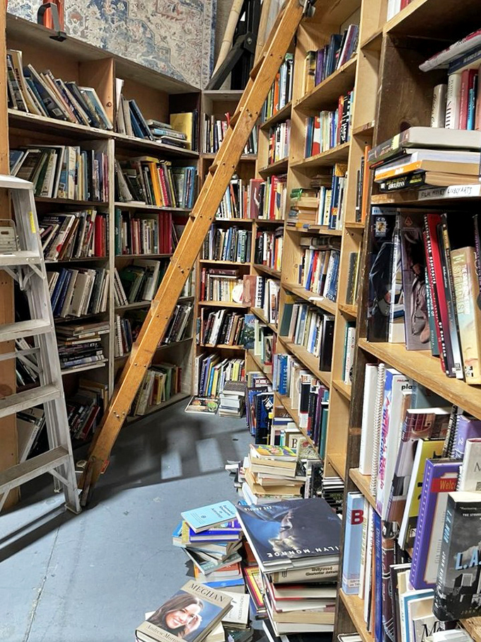 Book lovers' paradise awaits with towering shelves that require ladders to reach the highest literary treasures.