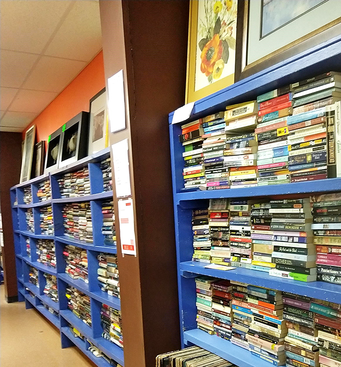 The book section: where literary treasures hide in plain sight. Those blue shelves contain more adventures than a lifetime of Netflix subscriptions.