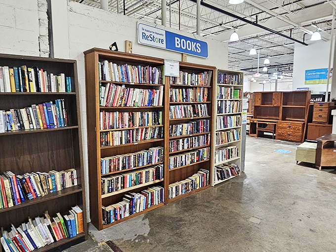 The book section: where literary treasures and forgotten bestsellers mingle like guests at a cocktail party nobody wants to leave.