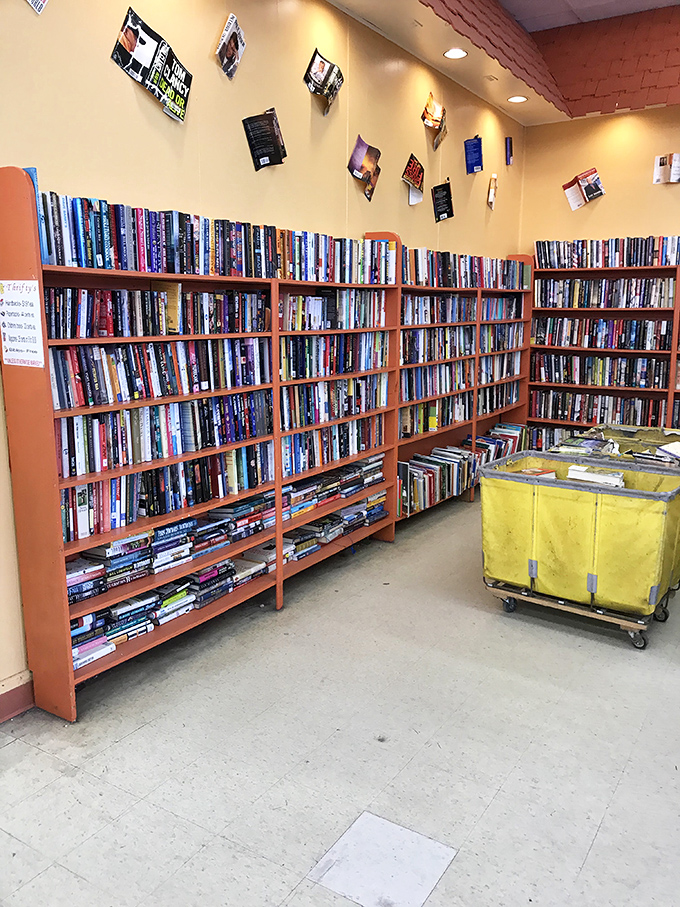 The book section rivals small libraries, offering dog-eared paperbacks and pristine hardcovers that promise countless rainy afternoons of literary escape.