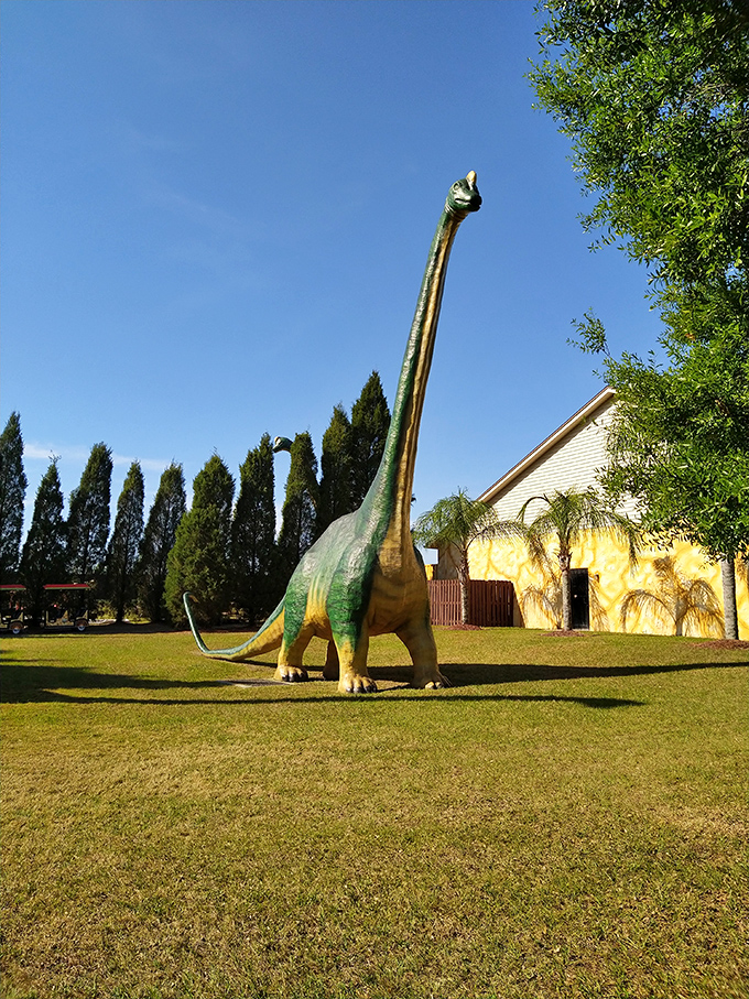 This Brachiosaurus stretches toward the sky, demonstrating why these gentle giants were nature's original skyscrapers long before humans built their first two-story hut.