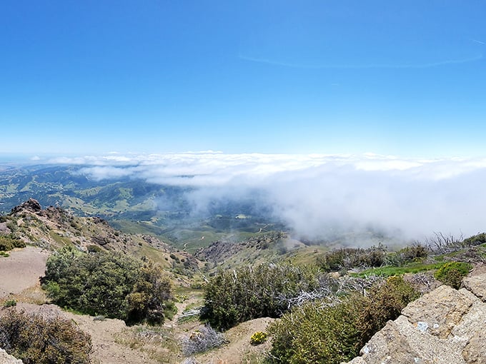 The mountain's unique position creates a natural fog barrier, with sunshine above and clouds below&mdash;nature's version of a first-class upgrade.