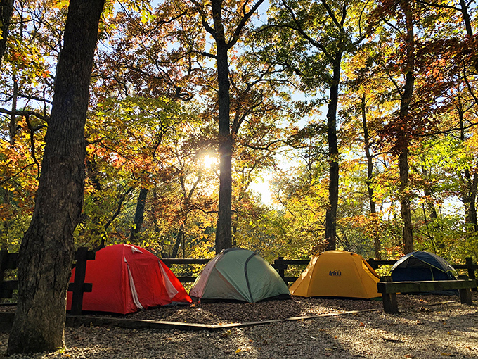 Camping among autumn leaves&mdash;nature's five-star accommodations. Those colorful tents complement fall foliage like they planned it.